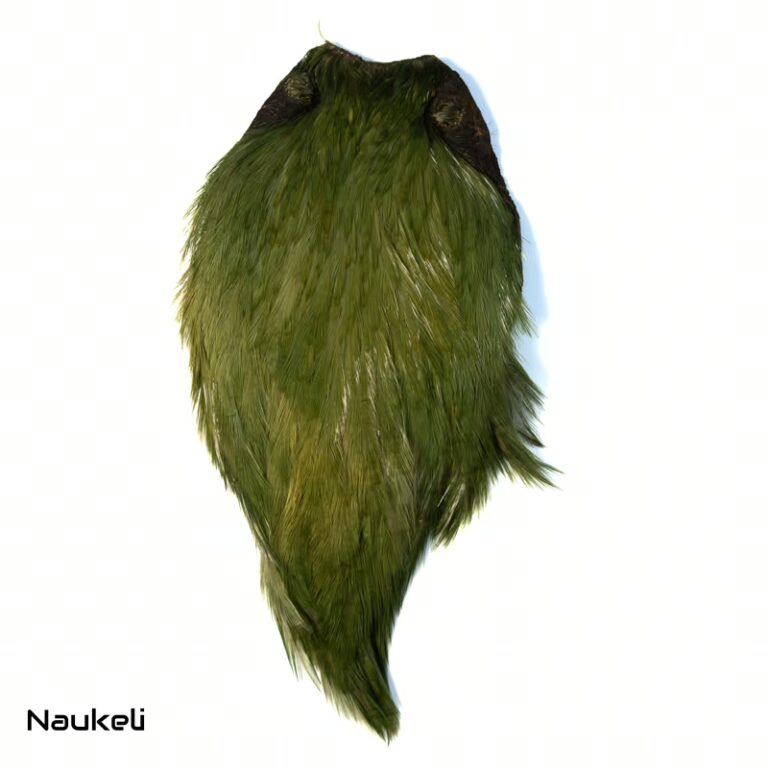 Rooster Cape – Grass Green